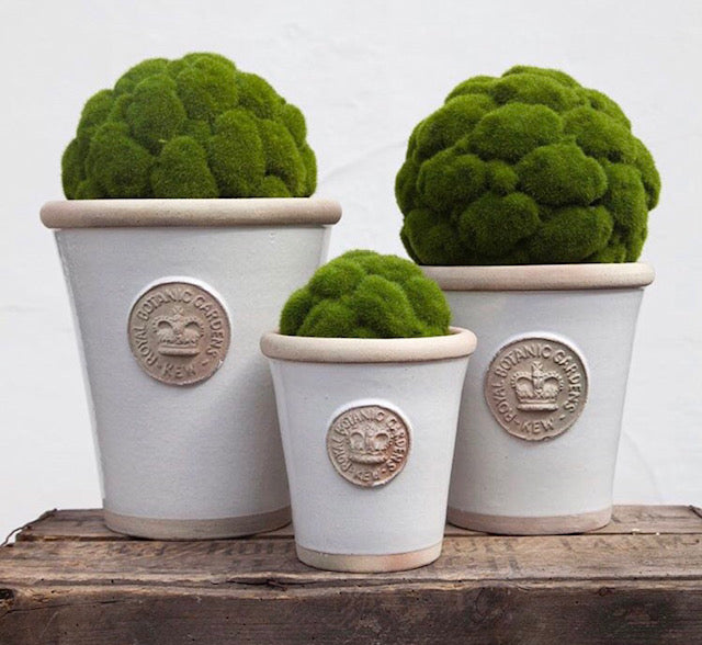 Kew Long Tom - Bone White – TERRACE & GARDEN