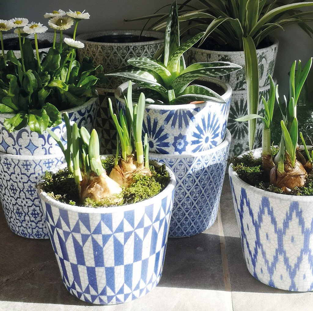 Ceramics – TERRACE & GARDEN